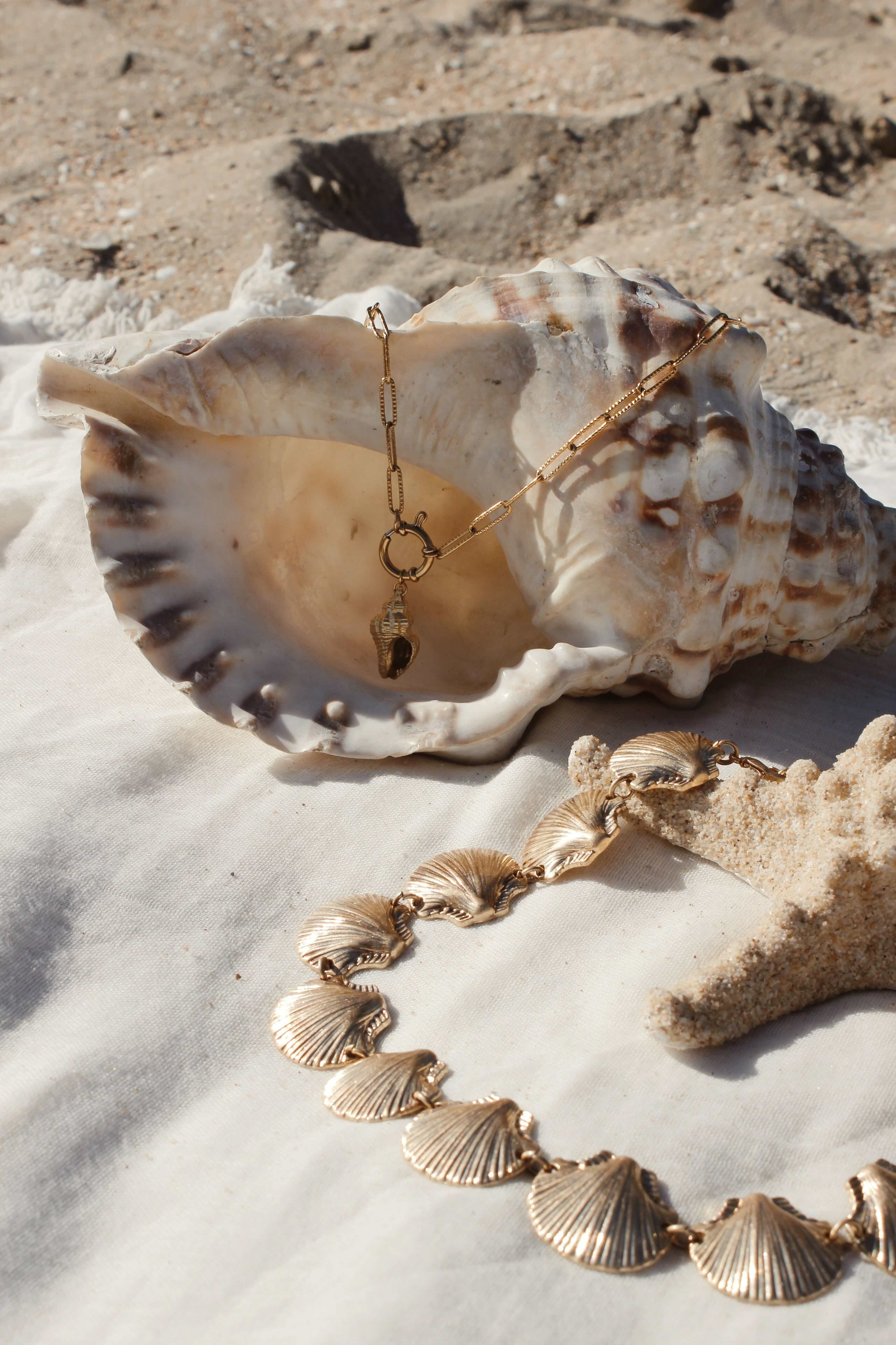 What Shell Jewelry to Gift Based on Personality | Shellvibe Summer ...