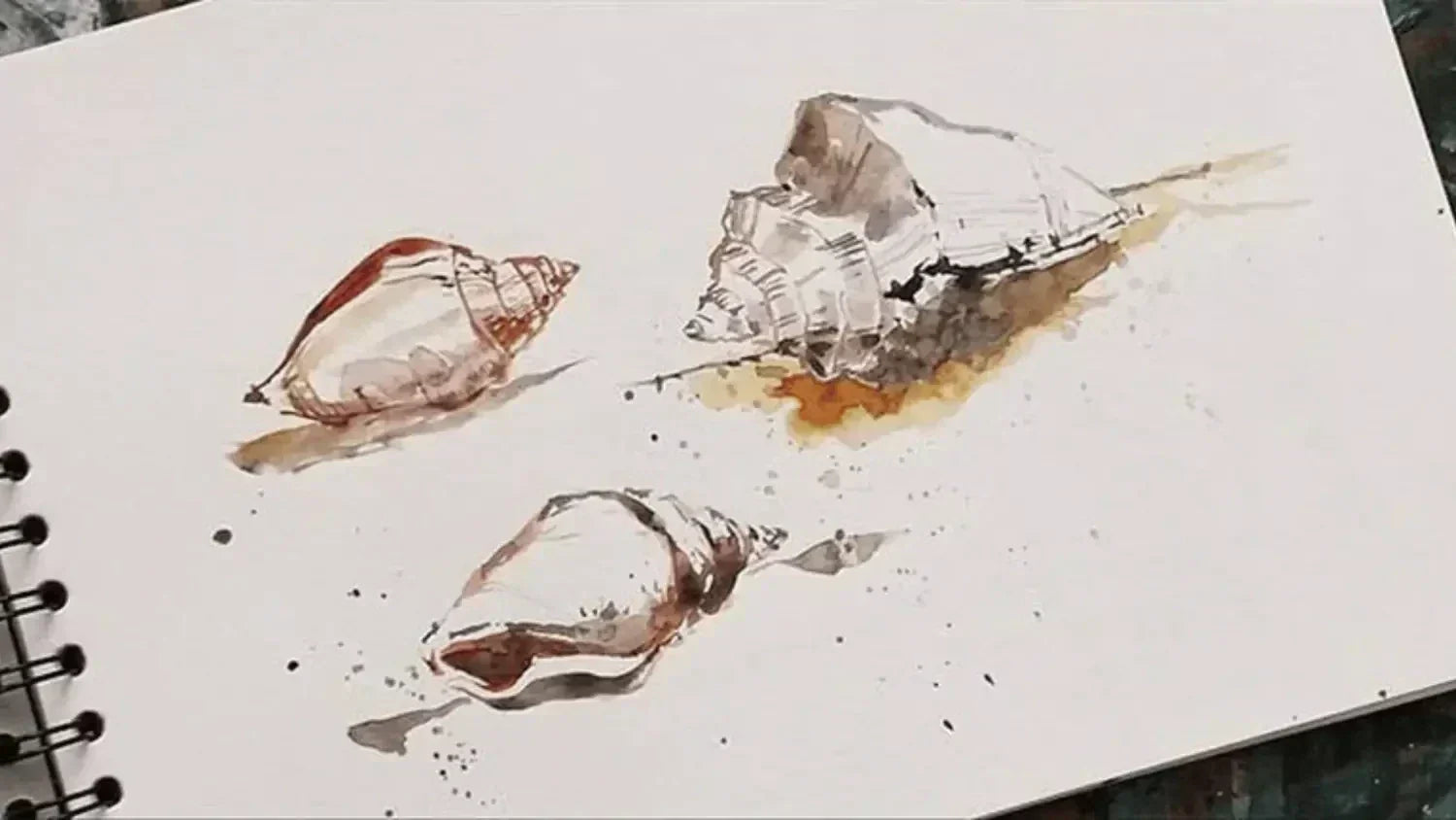 How to Draw Seashells: Step-by-Step Guide and Creative Tips – ShellVibe©