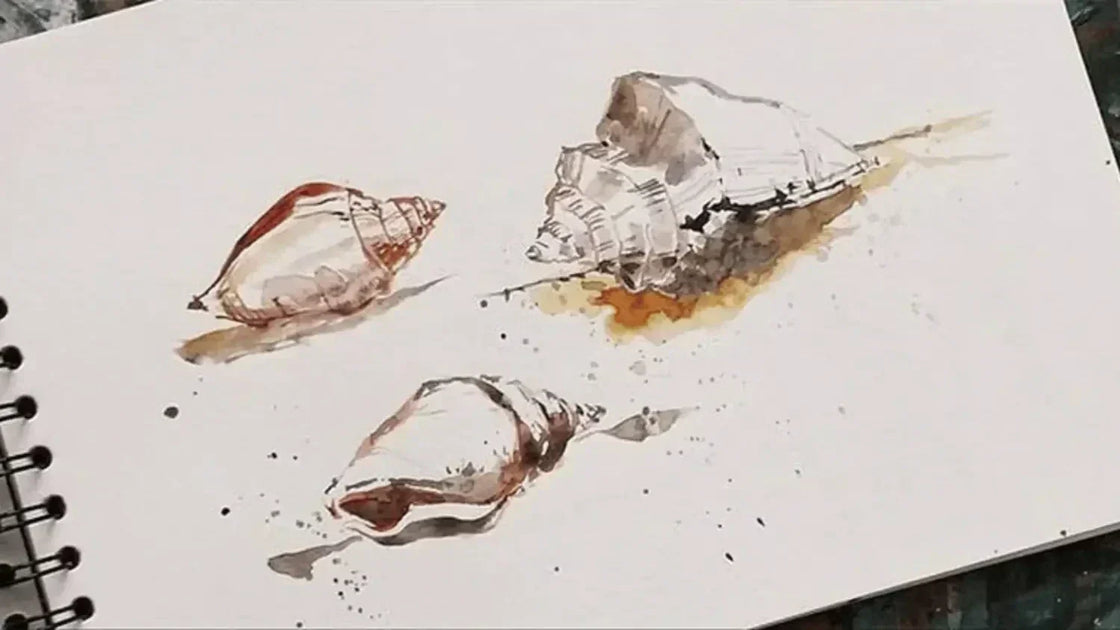 How to Draw Seashells: Step-by-Step Guide and Creative Tips – ShellVibe©